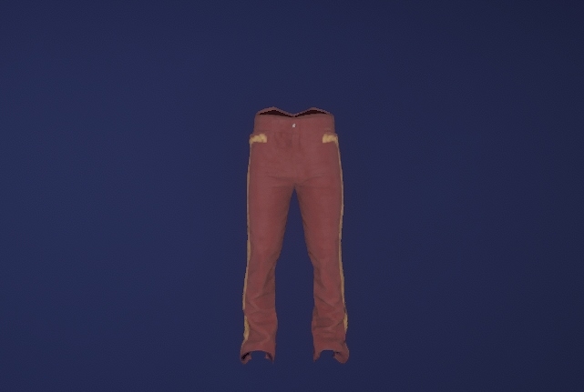 Concho Pants - Pants