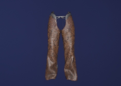 Shaffer Chaps - Chaps - RDR2Mods.com