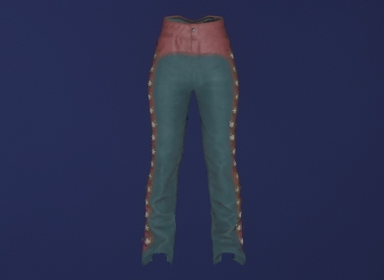 Concho Pants - Pants