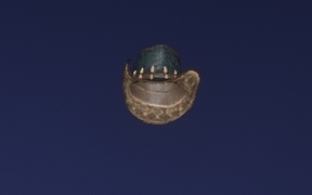 Gator Hat - Hats - RDR2Mods.com