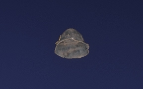 Tillman Cap - Hats - RDR2Mods.com