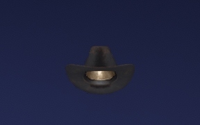 Rodeo Hat - Hats