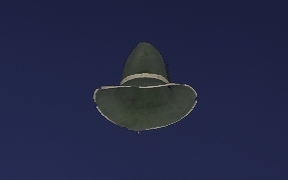 Dillehay Hat - Hats - RDR2Mods.com