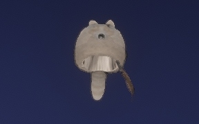 Raccoon Hat - Hats - RDR2Mods.com