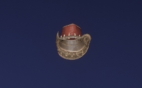 Gator Hat - Hats - RDR2Mods.com