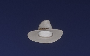 Good Big Valley Hat - Hats