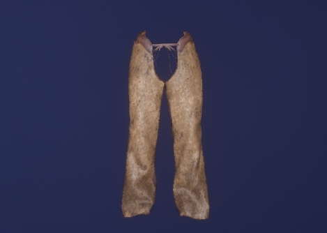 Shaffer Chaps - Chaps - RDR2Mods.com