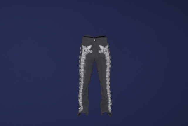 Concho Pants - Pants