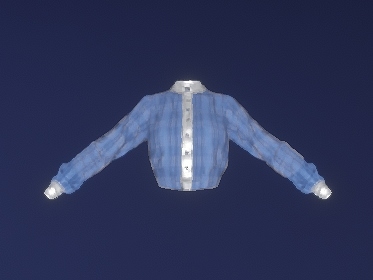 Casual Shirtwaist - Shirts