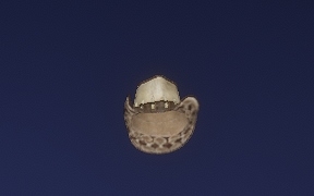 Legendary Alligator Gambler's Hat - Hats