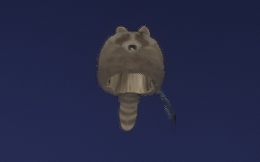 Raccoon Hat - Hats - RDR2Mods.com