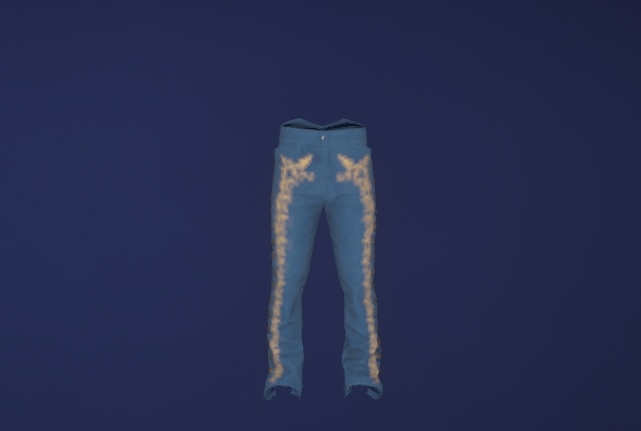 Concho Pants - Pants