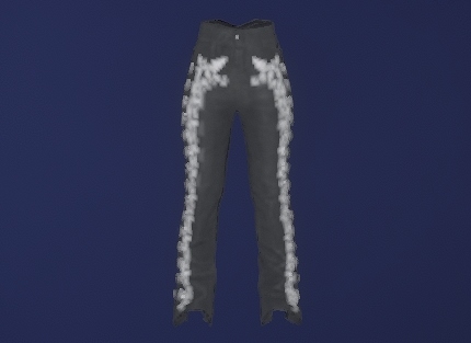 Concho Pants - Pants