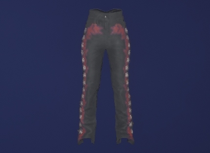 Concho Pants - Pants