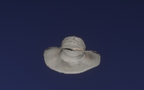 Pronghorn Flop Hat - Hats