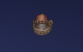 Gator Hat - Hats - RDR2Mods.com