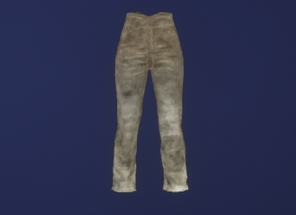 Fitted Pants - Pants