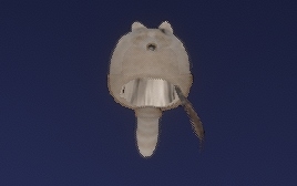 Raccoon Hat - Hats - RDR2Mods.com